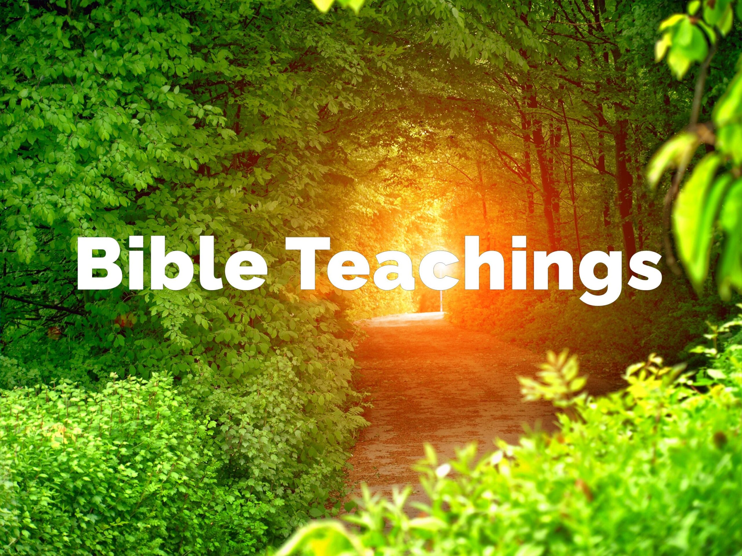 Prophet-Joshua-Holmes-Bible-Teachings | JoshuaDawn.org